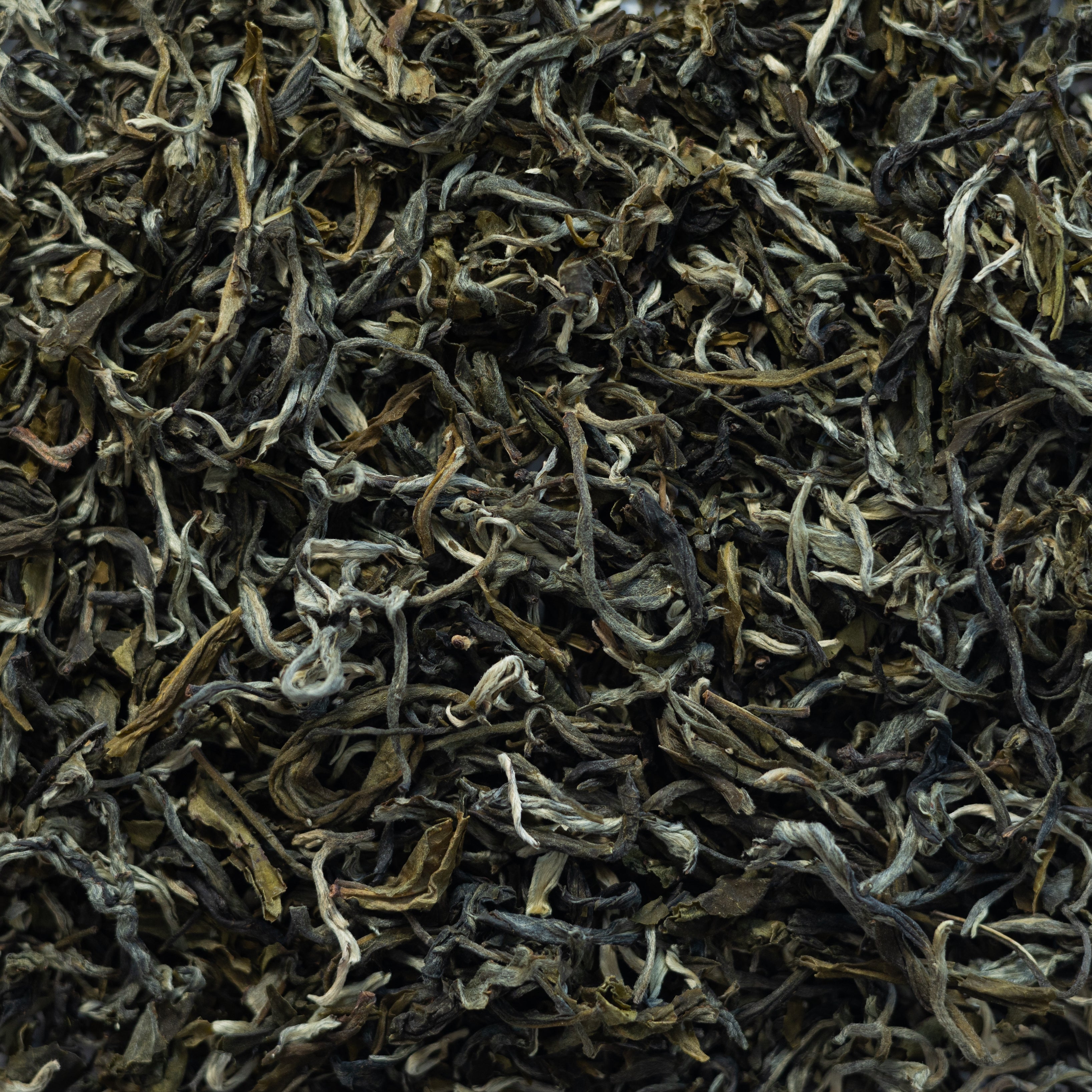 Mao Feng – Waterloo Tea