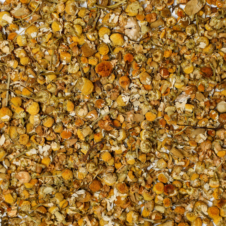 Speciality Loose Leaf Tea from Waterloo Tea