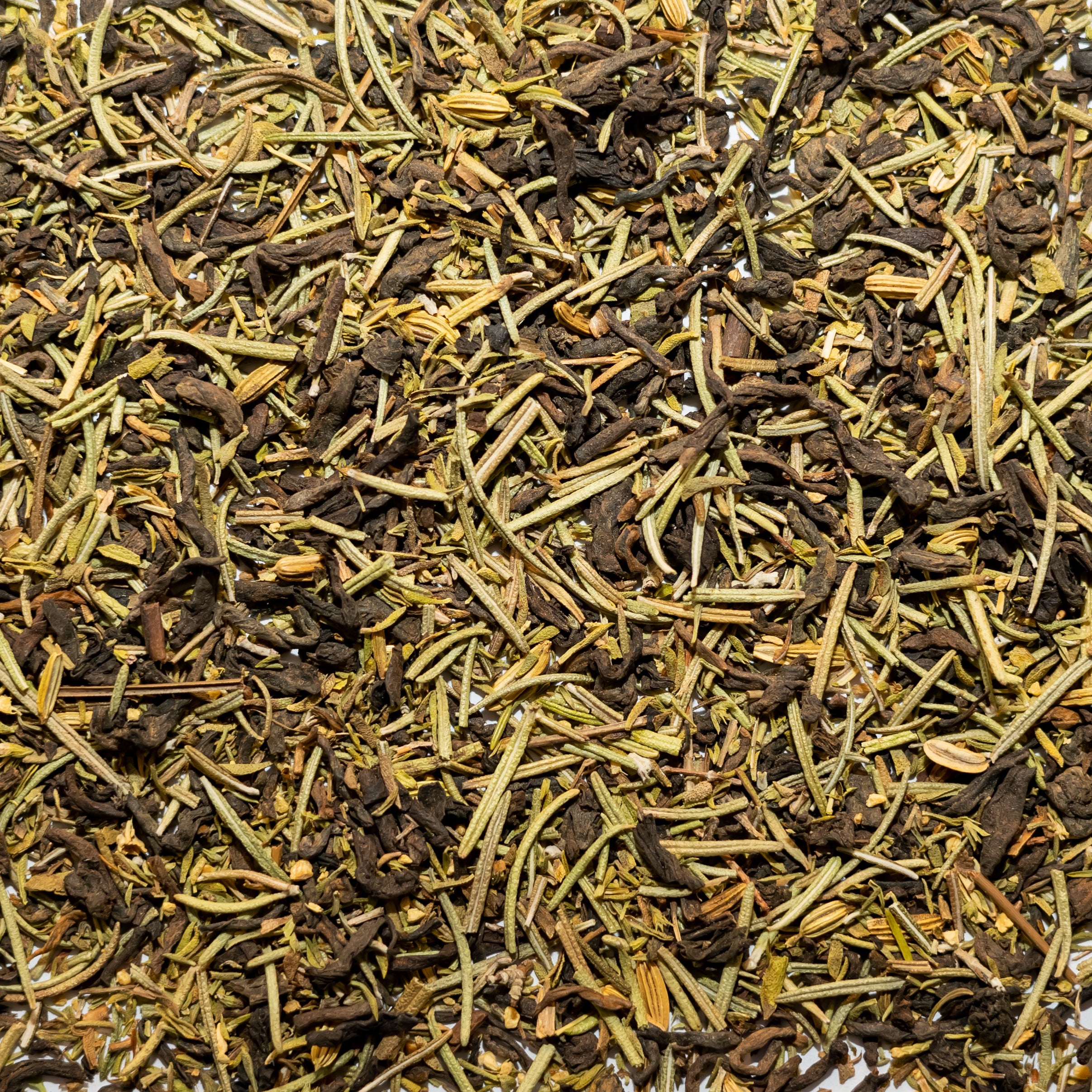 Fennel & Thyme – Waterloo Tea