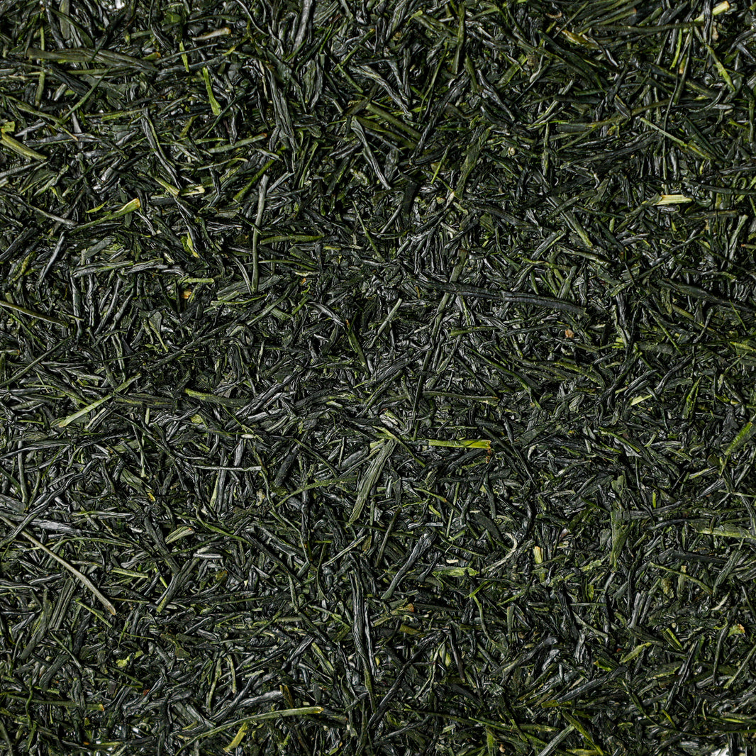 Speciality Loose Leaf Tea from Waterloo Tea