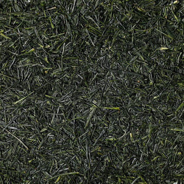 Daily Ritual Collection - Waterloo Tea