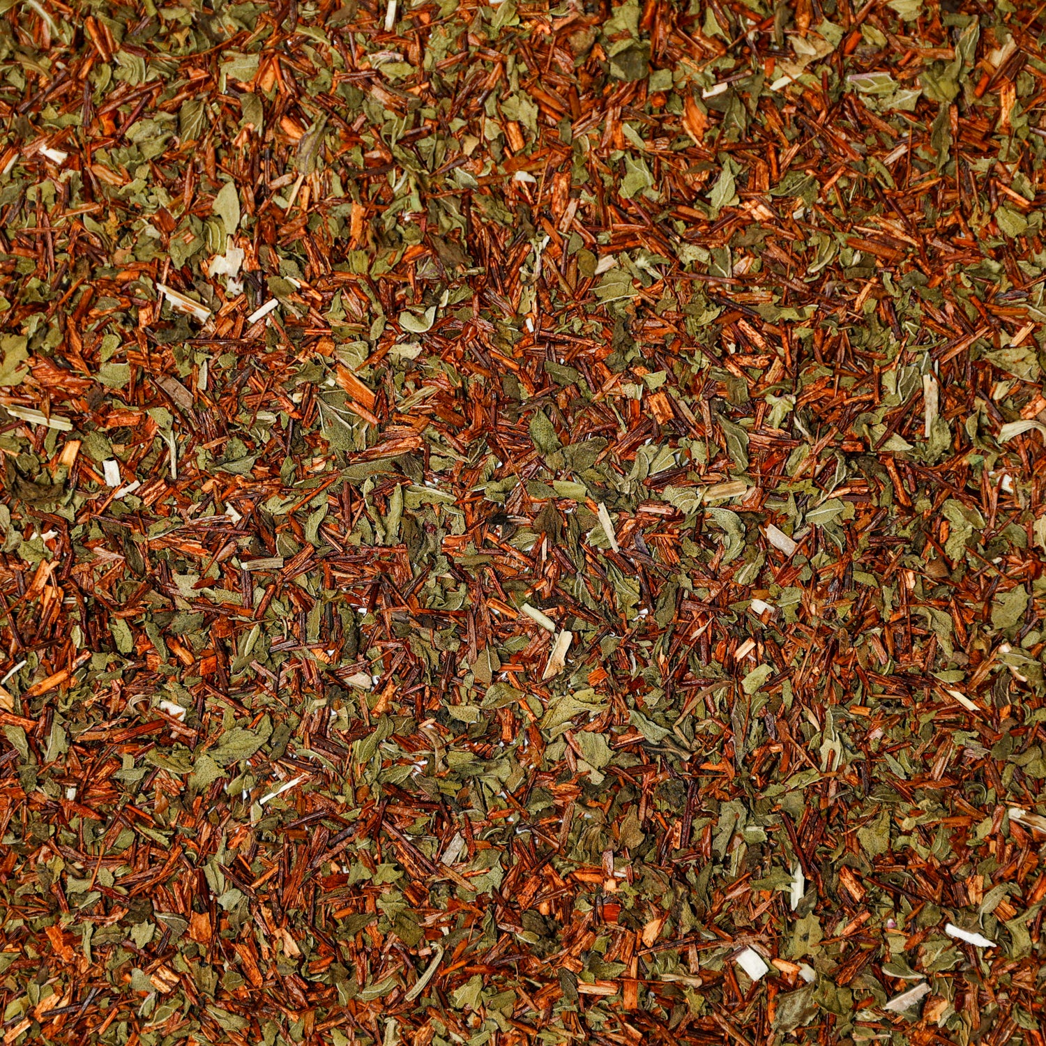 Mint Rooibos – Waterloo Tea